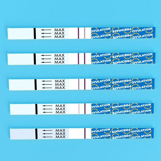 Reading ovulation test strips results – PREGMATE